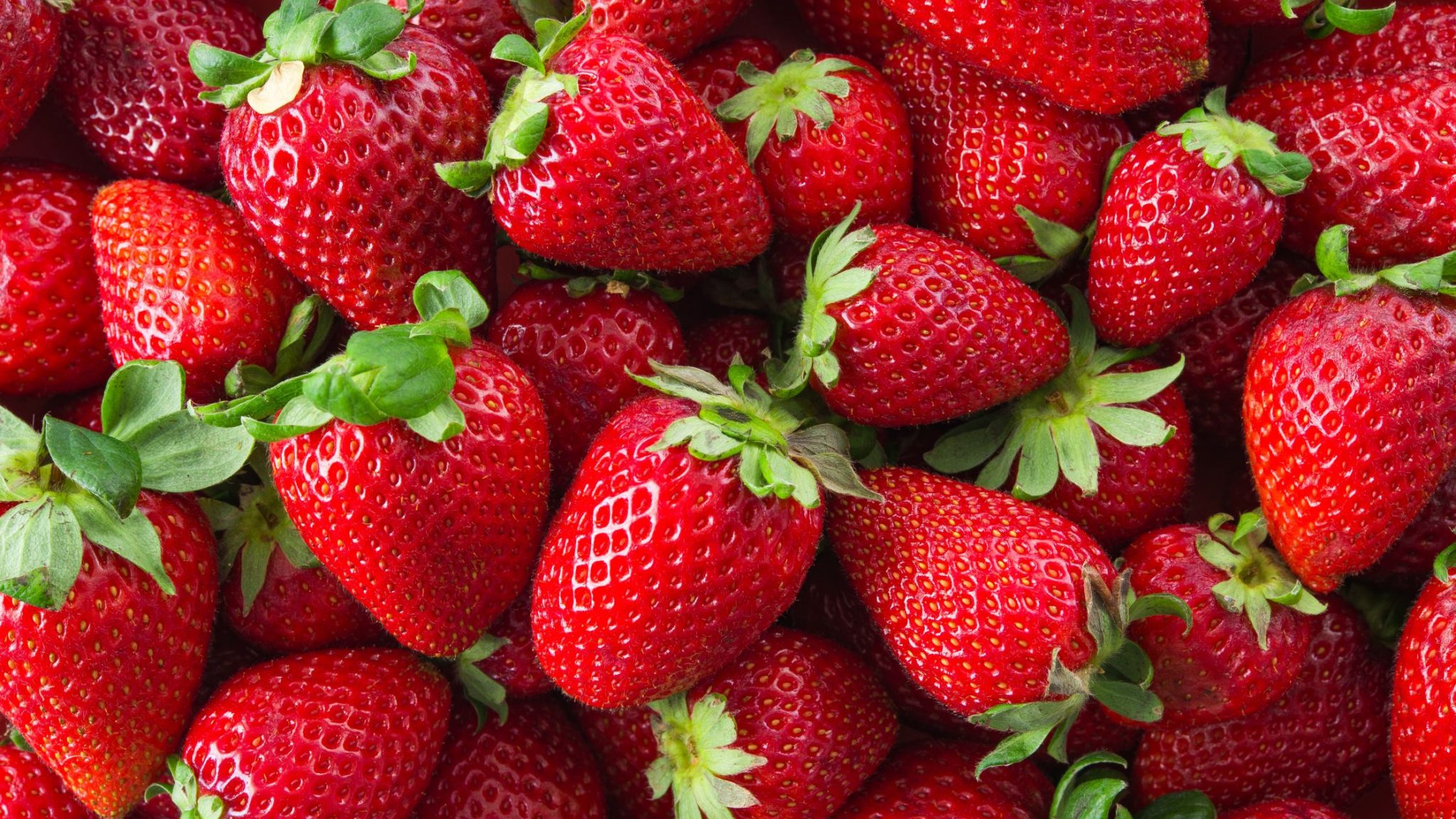 Ingredient Spotlight: What You May Not Know About Strawberries ...